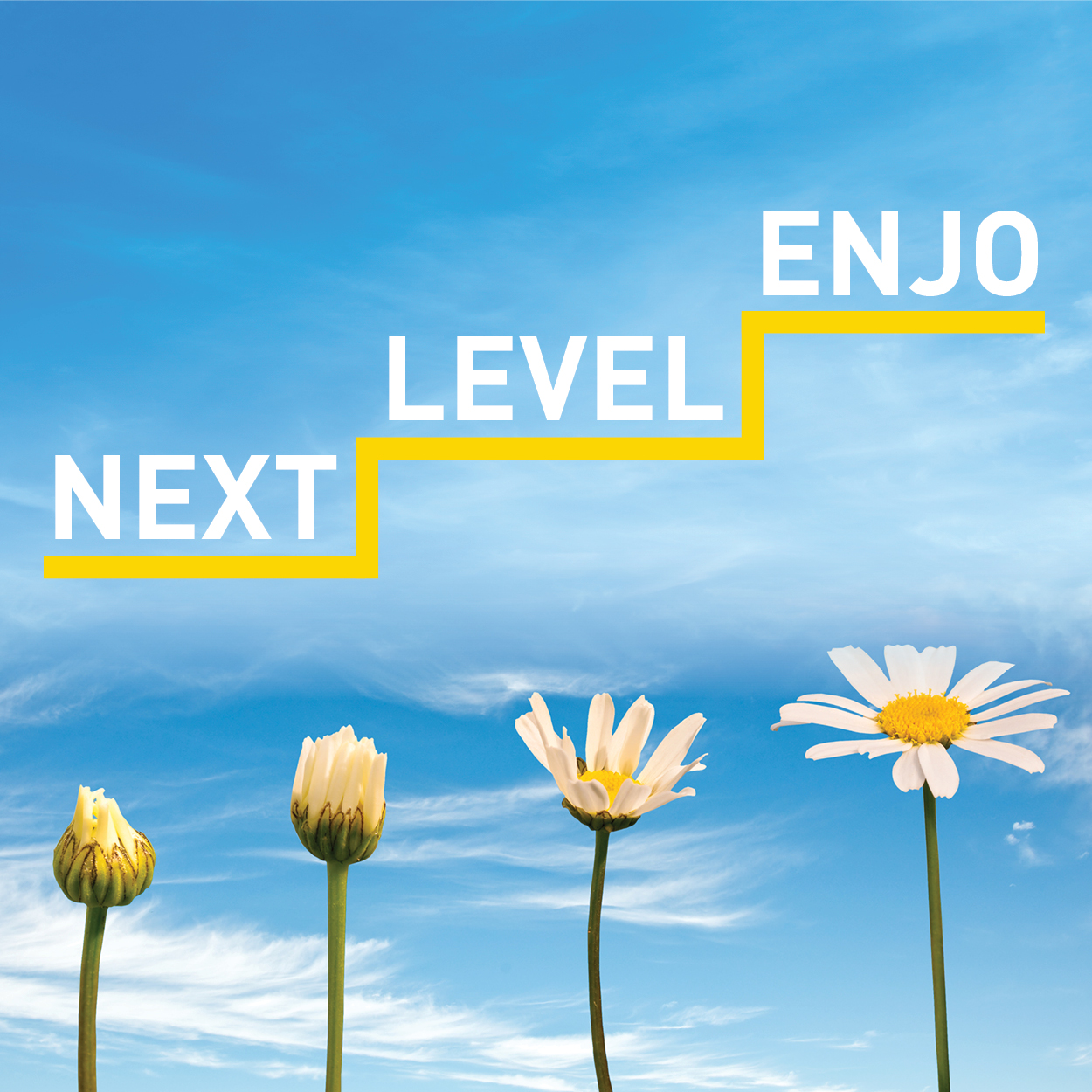 Welcome to ENJOpedia - ENJO